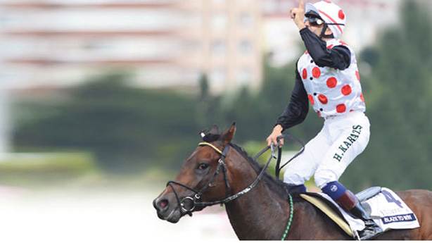 Halis Karataş ve Bold Pilot: Hipodromdan sinema salonuna