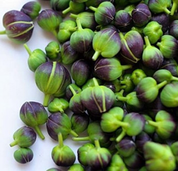 Kapari menopoz stresini alıyor! - Alternatif Tıp Haberleri